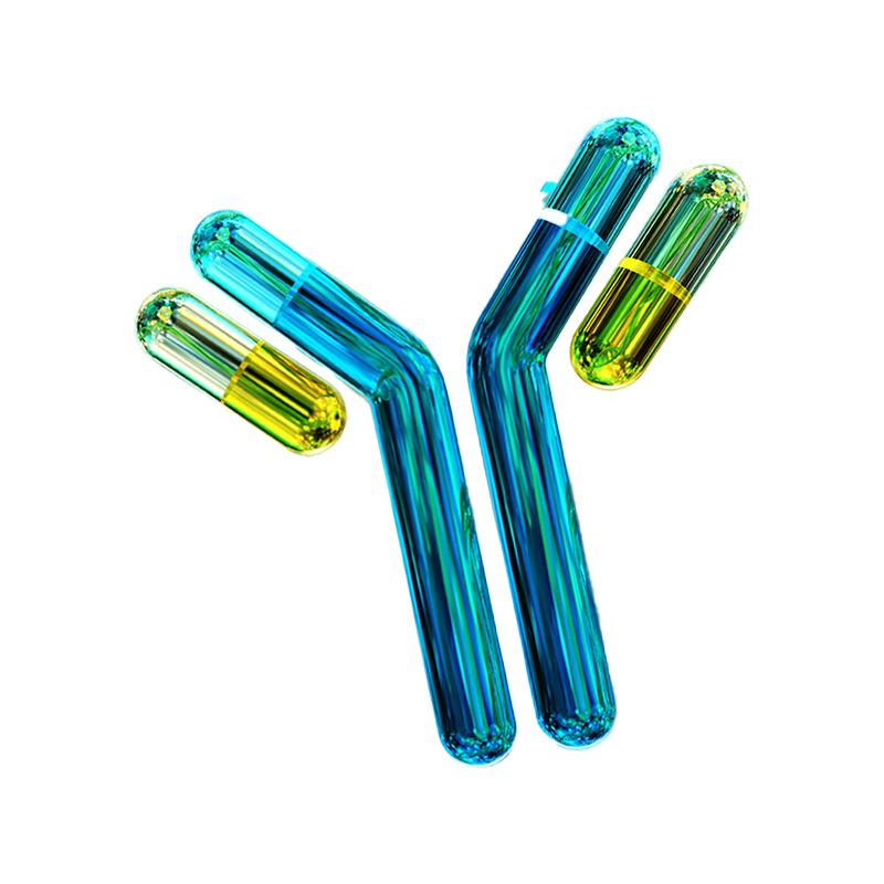 Protein Detection & QuantitationLab Supply - Lab Supply - Quality ...